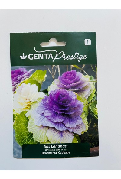 Genta Prestige Süs Lahanası Çiçek Tohumu Lahana Tohumu Çiçek Tohumları