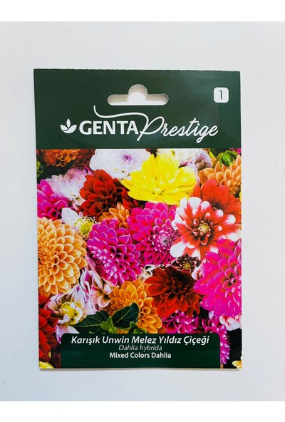 Genta Prestige Karışık Unwin Melez Yıldızı Çiçeği Tohumu Yıldız Çiçeği Tohumu