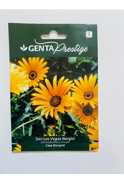 Genta Prestige Sarı Las Vegas Çiçeği Genta Çiçek Tohumu
