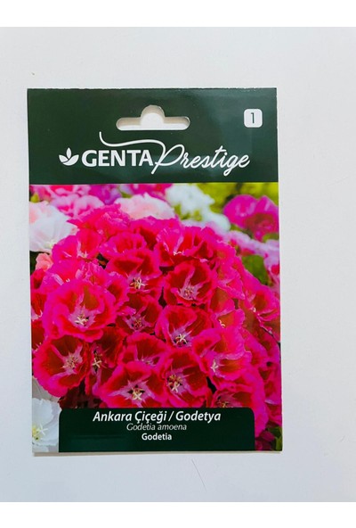 Genta Prestige Ankara Çiçeği-Godetya Genta Çiçek Tohumları