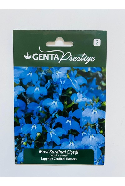 Genta Prestige Mavi Kardinal Çiçeği Tohumu