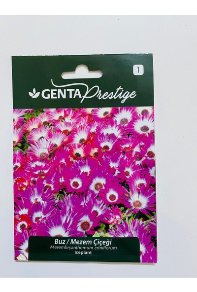 Genta Prestige Buz Mazem Çiçeği Tohumu