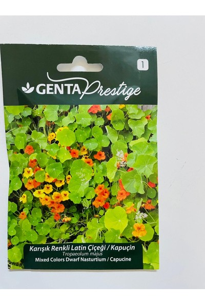 Genta Prestige Karışık Renkli Latin Çiçeği Çiçek Genta Prestige Karışık Renkli Latin Çiçeği Çiçek