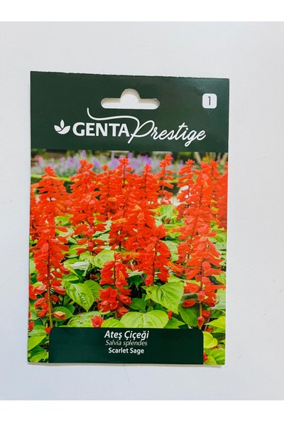 Genta Prestige Ateş Çiçeği Çiçek Tohumu