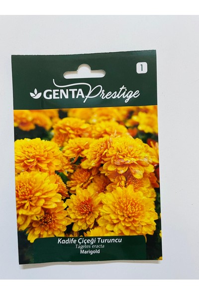 Genta Prestige Kadife Çiçeği Turuncu Çiçek Tohumu