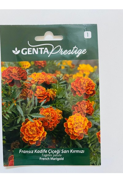 Genta Prestiğe Fransız Kadife Çiçeği Sarı Kırmızı Çiçek Tohumu