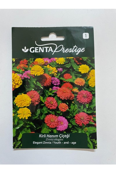 Genta Prestiğe Kirli Hanım Çiçeği Çiçek Tohumu