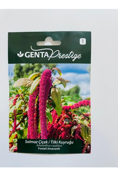 Genta Prestige Sol Maz Çiçek Tilki Kuyruğu Çiçek Tohumu