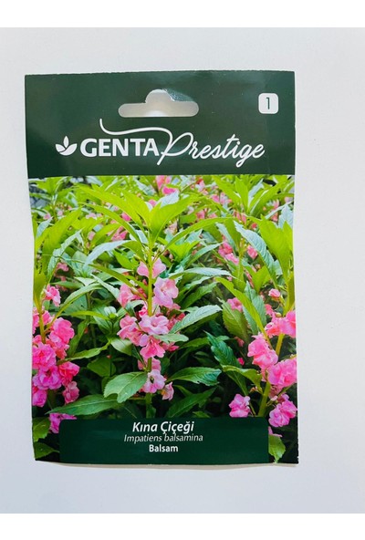 Genta Prestige Kına Çiçeği Çiçek Tohumu