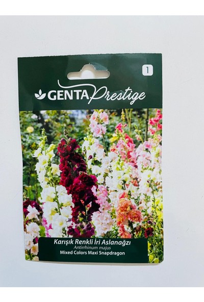 Genta Prestige Karışık Renkli Iri Aslanağzı Çiçek Tohumu