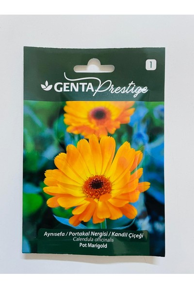 Genta Prestige Aynısefa Portakal Nergisi Kandilçi Çiçek Tohumu Genta Prestige Aynısefa Portakal Nergisi Kandilçi Çiçek Tohumu