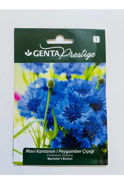 Genta Prestige Mavi Kantaron Peygamber Çiçeği Çiçek Tohumu