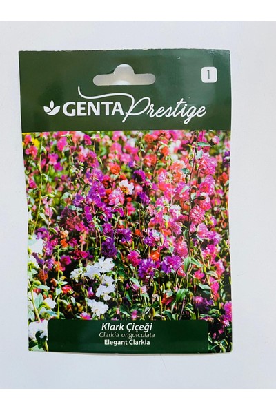 Genta Prestige Klark Çiçeği Çiçek Tohumu