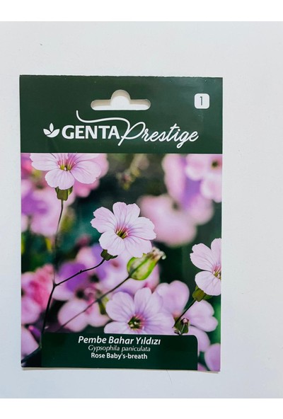 Genta Prestige Pembe Bahar Yıldızı Çiçeği Çiçek Tohumu