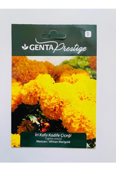 Genta Prestige Iri Kafa Kadife Çiçeği Çiçek Tohumu