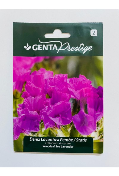 Genta Prestige Deniz Lavantası Statis Pembe Çiçeği Çiçek Tohumu Genta Prestige Deniz Lavantası Statis Pembe Çiçeği Çiçek Tohumu