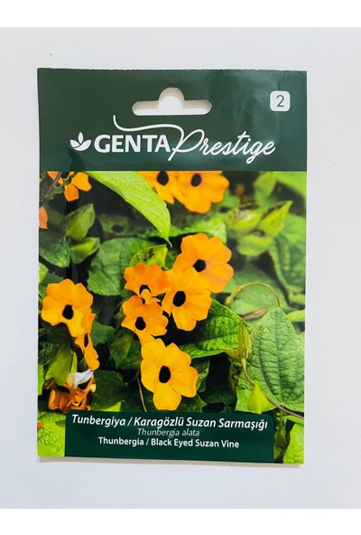 Genta Prestige Tunbergiya / Kara Gözlü Suzan Sarmaş Çiçeği Çiçek Tohumu