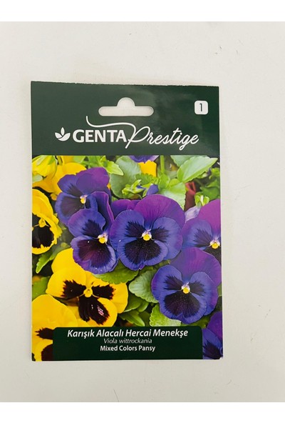 Genta Prestiğe Karışık Alacalı Hercai Menelşe Çiçeği Çiçek Tohumu Genta Prestiğe Karışık Alacalı Hercai Menelşe Çiçeği Çiçek Tohumu