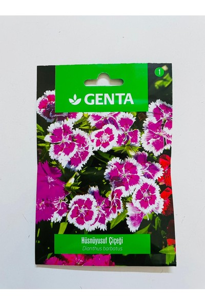 Genta Prestiğe Hüsnü Yusuf Çiçeği Çiçek Tohumu