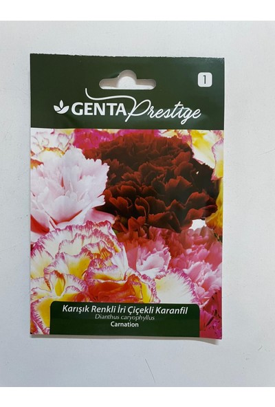 Genta Karışık Renkli Iri Çiçekli Karanfil Çiçeği Çiçek Tohumu Genta Karışık Renkli Iri Çiçekli Karanfil Çiçeği Çiçek Tohumu