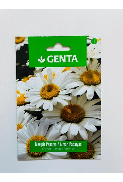 Genta Prestige Margrit Papatya/ Alman Papatyası Çiçek Tohumu