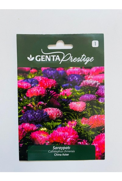 Genta Prestiğe Saray Patı Çiçeği Çiçek Tohumu