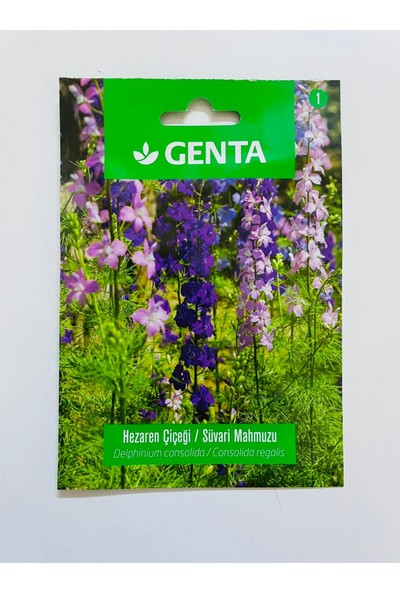 Genta Prestiğe Hazeran Çiçeği Süvari Mahmuzu Çiçeği Çiçek Tohumu
