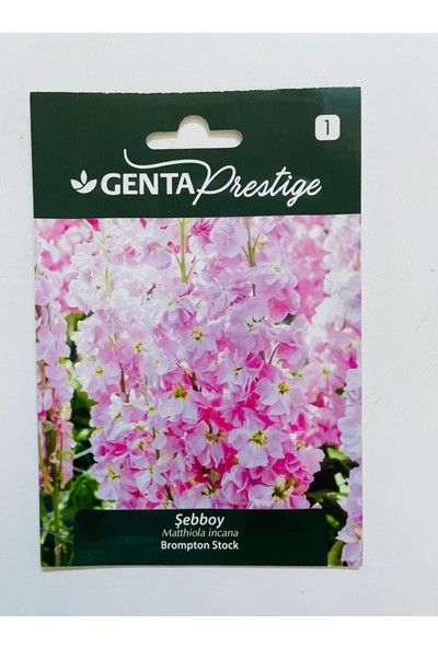 Genta Prestige Şebboy Çiçeği Çiçek Tohumu