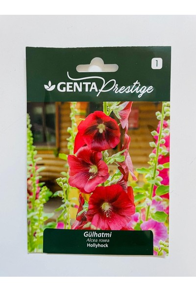 Genta Prestiğe Gülhatmi Çiçeği Çiçek Tohumu