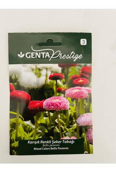 Genta Karışık Renkli Şeker Tabağı Çiçeği Çiçek Tohumu