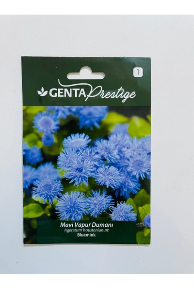 Genta Mavi Vapur Dumanı Çiçeği Çiçek Tohumu