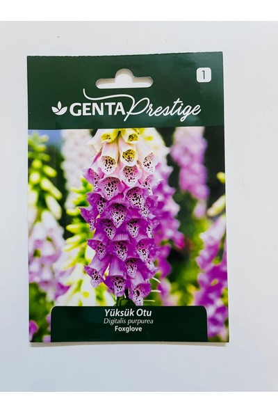 Genta Yüksükotu Çiçeği Çiçek Tohumu