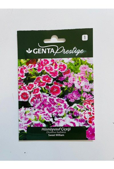 Genta Hüsnüyusuf Çiçeği Çiçek Tohumu