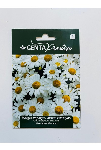 Genta Margrit Papatya-Alman Papatyası Çiçeği Çiçek Tohumu
