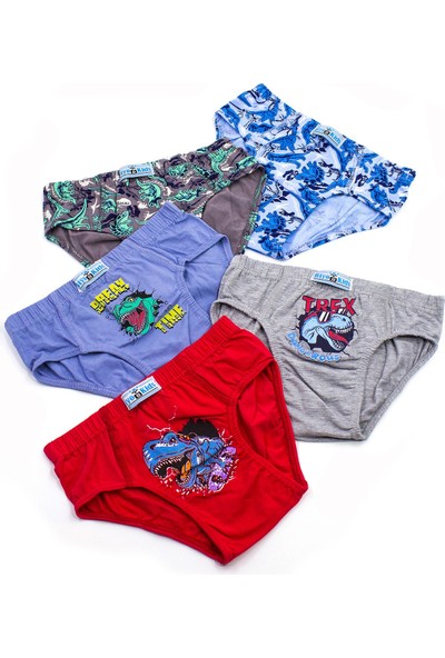 Biyokids Erkek Çocuk Külot 5 Li Paket Karışık Renk Baskılı Külot BYO2599