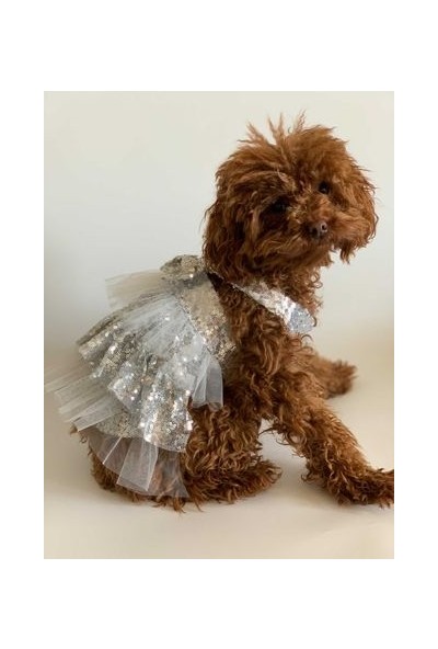 Aria Pet Butik Köpek Elbise Pul Payetli Beyaz M