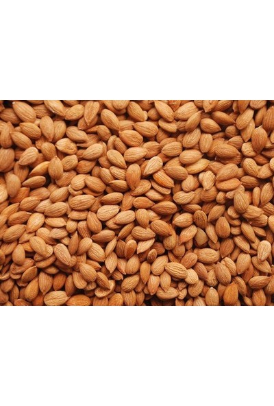 Tuzsuz Kavrulmuş Kayısı Badem ( Günkurusu ) Tuzsuz Kavrulmuş Kayısı Badem ( Günkurusu )