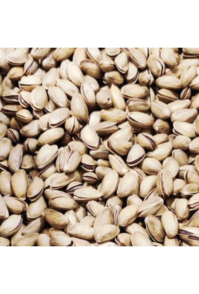 Magro Antep Fıstığı Anaçıtlak Magro Antep Fıstığı Anaçıtlak