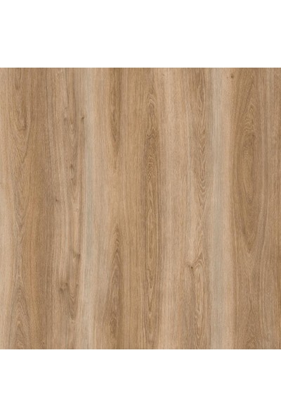 Çamsan Silver Polar Meşe 8 mm Laminant Parke
