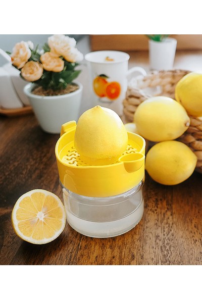Anadolu Saray Çarşısı Pratik Cam Limon Sıkacağı 300 ml