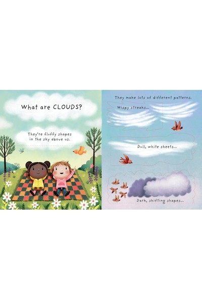 What Are Clouds? Lift The Flap First Questions And Answers - Daynes Katie What Are Clouds? Lift The Flap First Questions And Answers - Daynes Katie