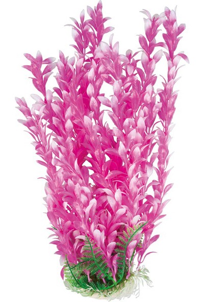 Orijin 035434 Akvaryum Plastik Süs Bitkisi 41 cm Orijin 035434 Akvaryum Plastik Süs Bitkisi 41 cm