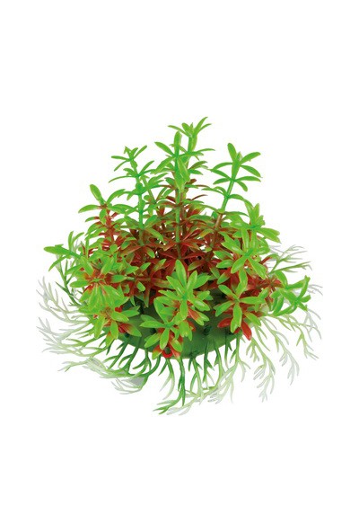 Orijin 024081 Akvaryum Plastik Süs Bitkisi 8cm Orijin 024081 Akvaryum Plastik Süs Bitkisi 8cm