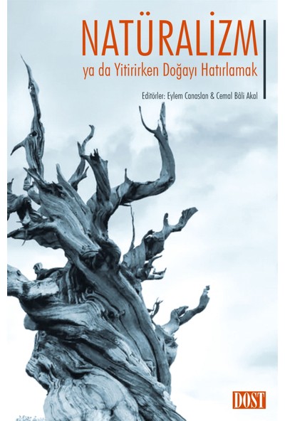Natüralizm Ya Da Yitirirken Doğayı Hatırlamak - Eylem Canaslan Natüralizm Ya Da Yitirirken Doğayı Hatırlamak - Eylem Canaslan