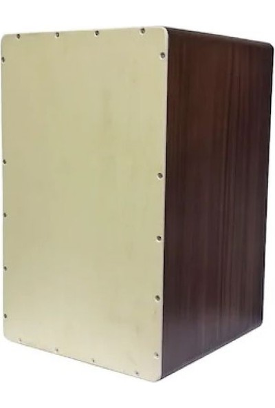 Rhythm Percussion Rtcaah - Çatlak Boyali Kilifli Cajon Rhythm Percussion Rtcaah - Çatlak Boyali Kilifli Cajon