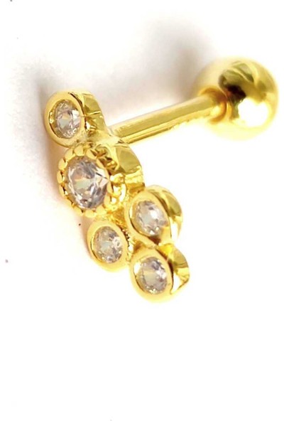 Güler Yüzlü Silver Çıtır Gümüş Pıercıng