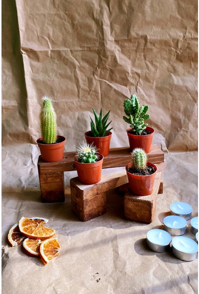 Sanat Sepet İşleri Eskitme Ahşap Dekoratif Çiçeklik Skulent Saksılık & Tealight Mumluk Çift Fonksiyon Sanat Sepet İşleri Eskitme Ahşap Dekoratif Çiçeklik Skulent Saksılık & Tealight Mumluk Çift Fonksiyon