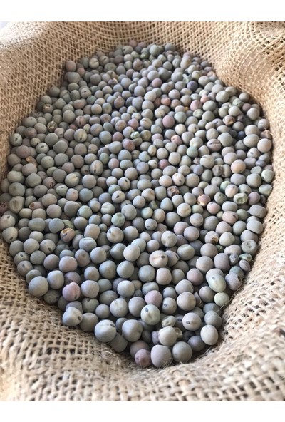 Byagro Yem Bezelyesi Taşkent 10 kg