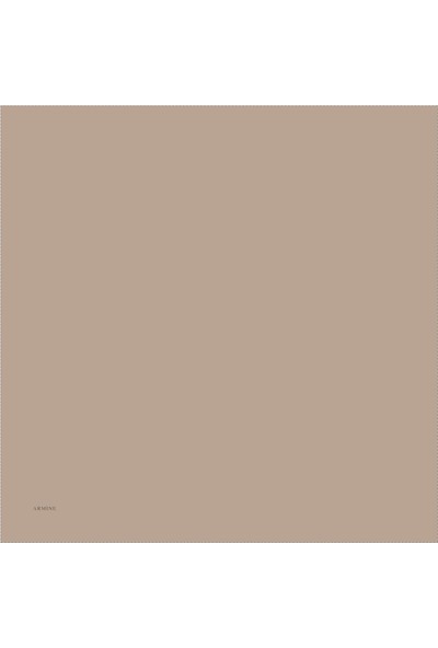 Armine Düz Boyalı Eşarp (TWİLL)-1276