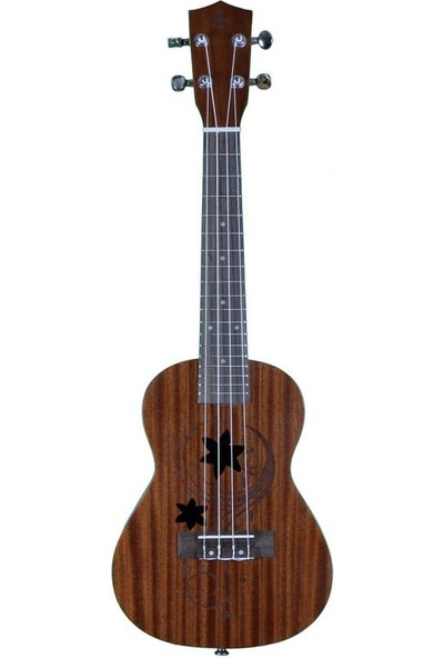 Finks FK-223 Concert Ukulele (Taşıma Çantası )